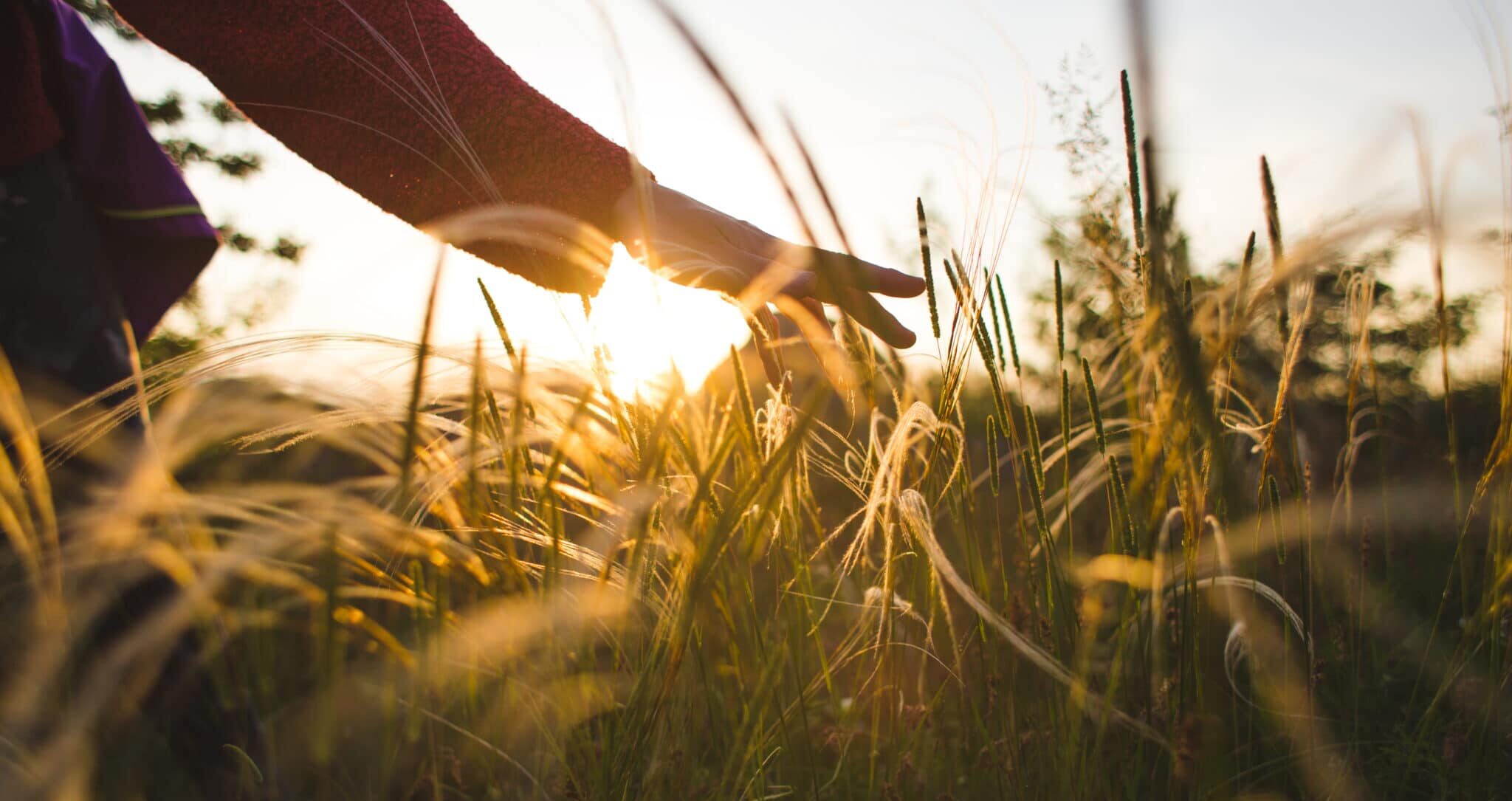 Critical Illness - Simply Covered, Providing you with a considered ...